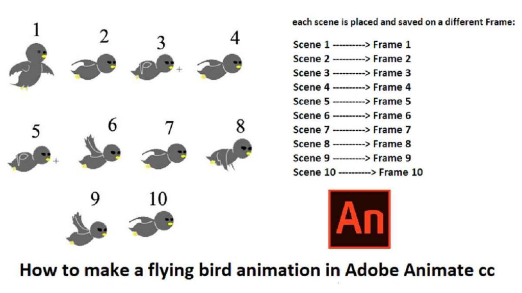 How to make a flying bird animation in Adobe Animate cc - Neicy Techno